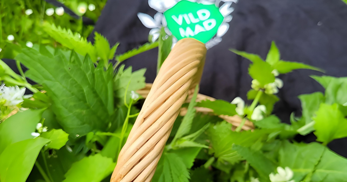 Vild Mad med Grøn Guide | Gentofte Bibliotekerne